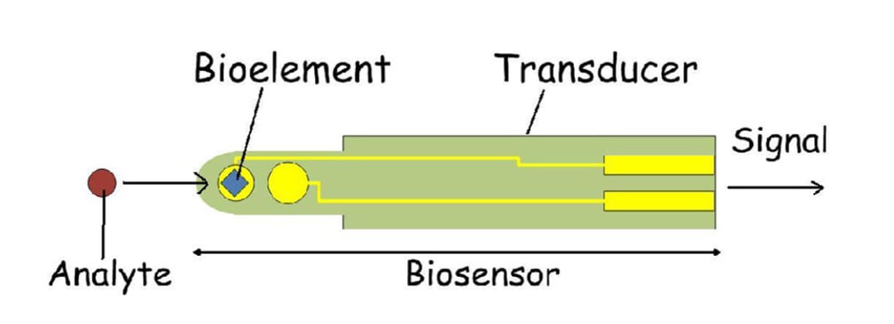 What Is A Biosensor