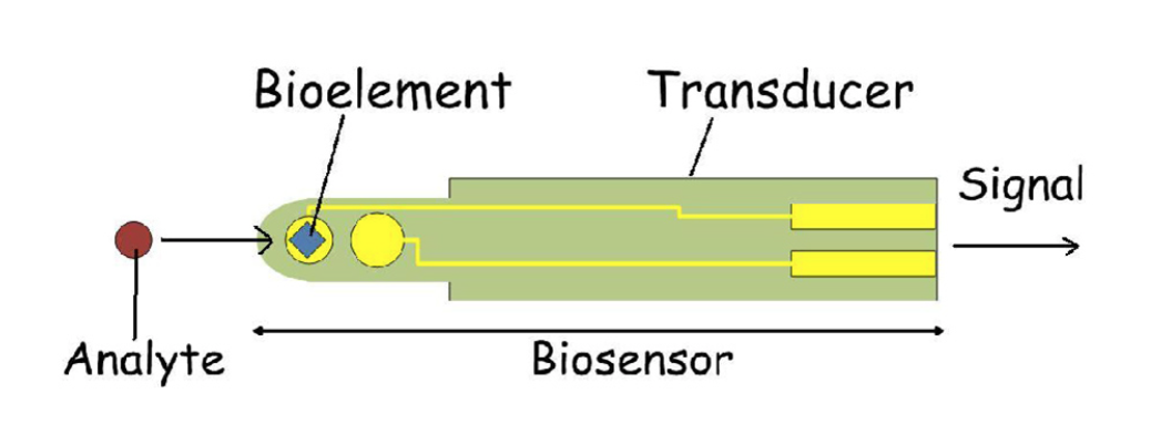 What is a Biosensor?