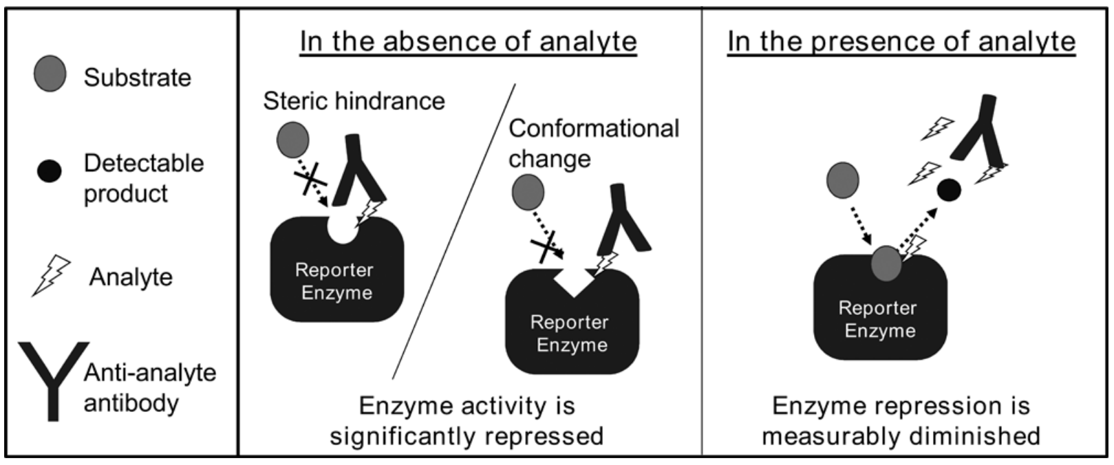 Heterogeneous vs. Homogeneous Assays