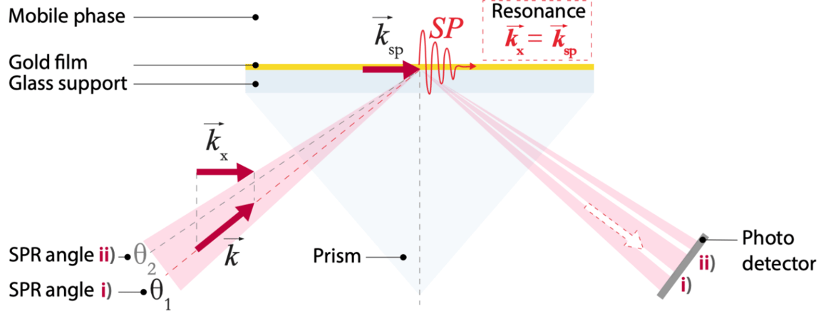 Surface Plasmon Resonance (SPR)