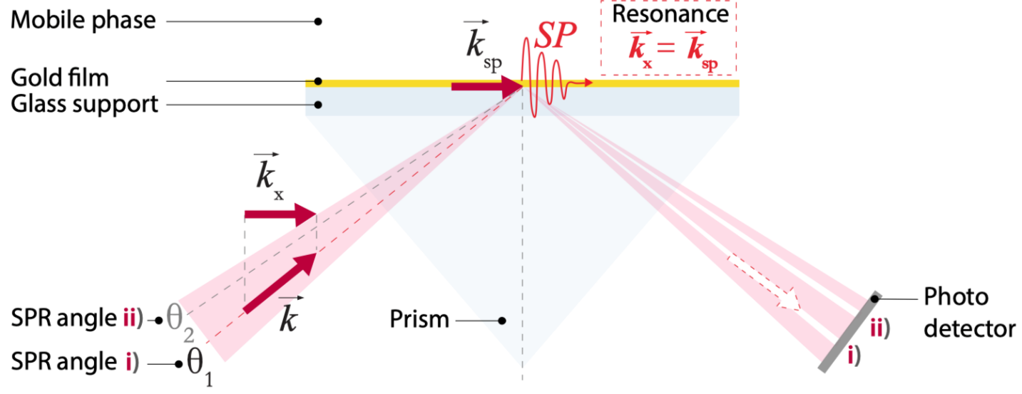 Surface Plasmon Resonance (SPR)