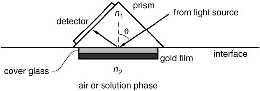 Surface Plasmon Resonance (SPR)